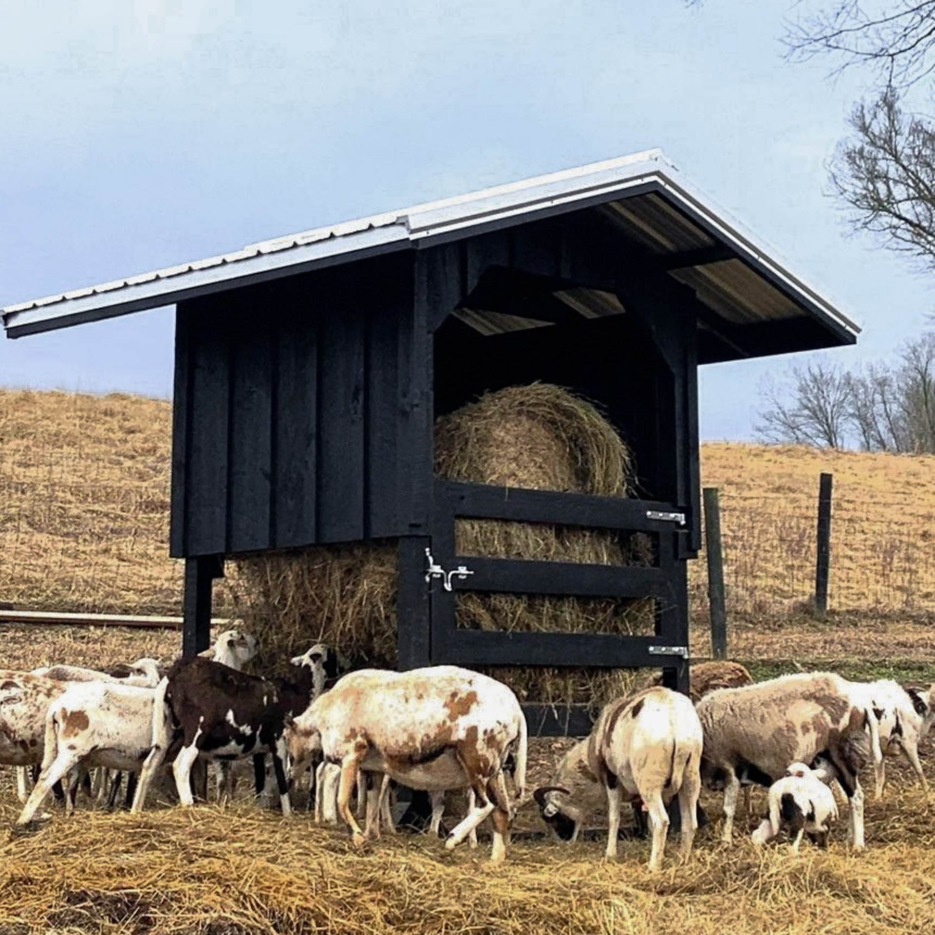 hay-feeder–3 - Esh's Utility Buildings